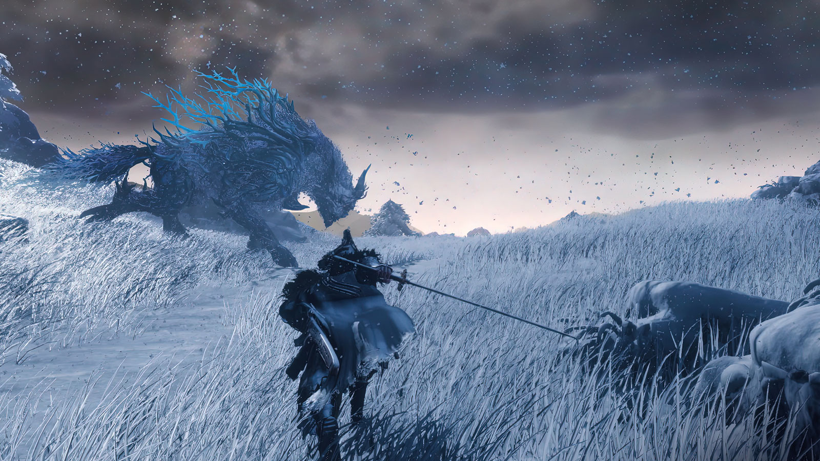 RECENZJA: Wild Hearts – Magazyn T3