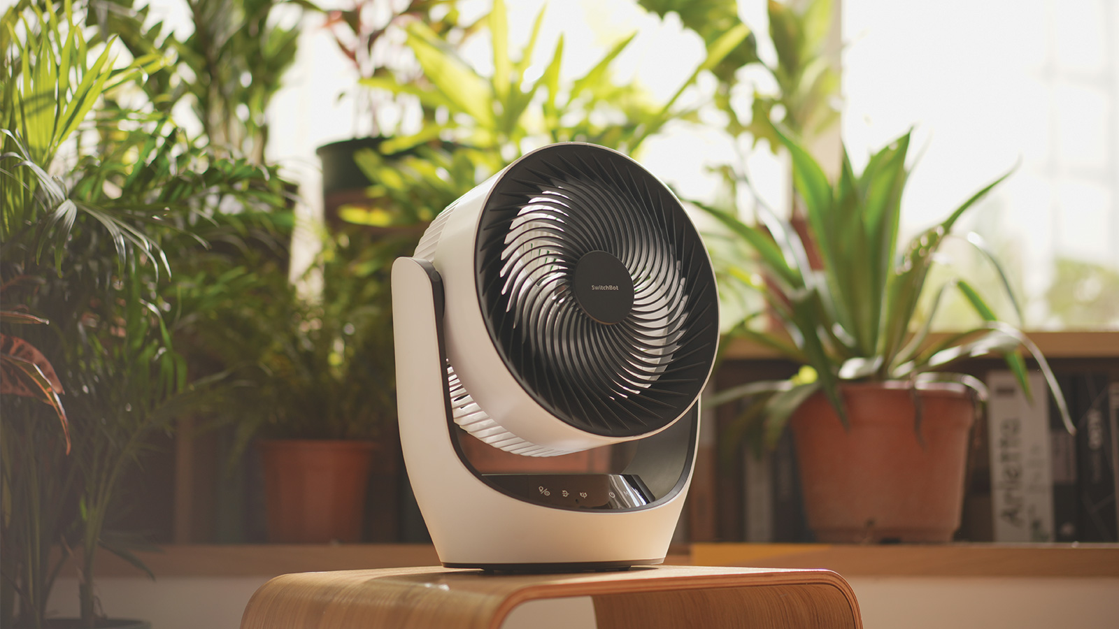 TEST: SwitchBot Battery Circulator Fan | Magazyn T3